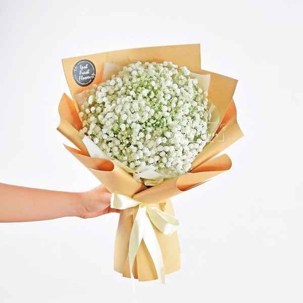 Bella Baby Breath | Fresh Flower Bouquet | Same day delivery – myfa ...