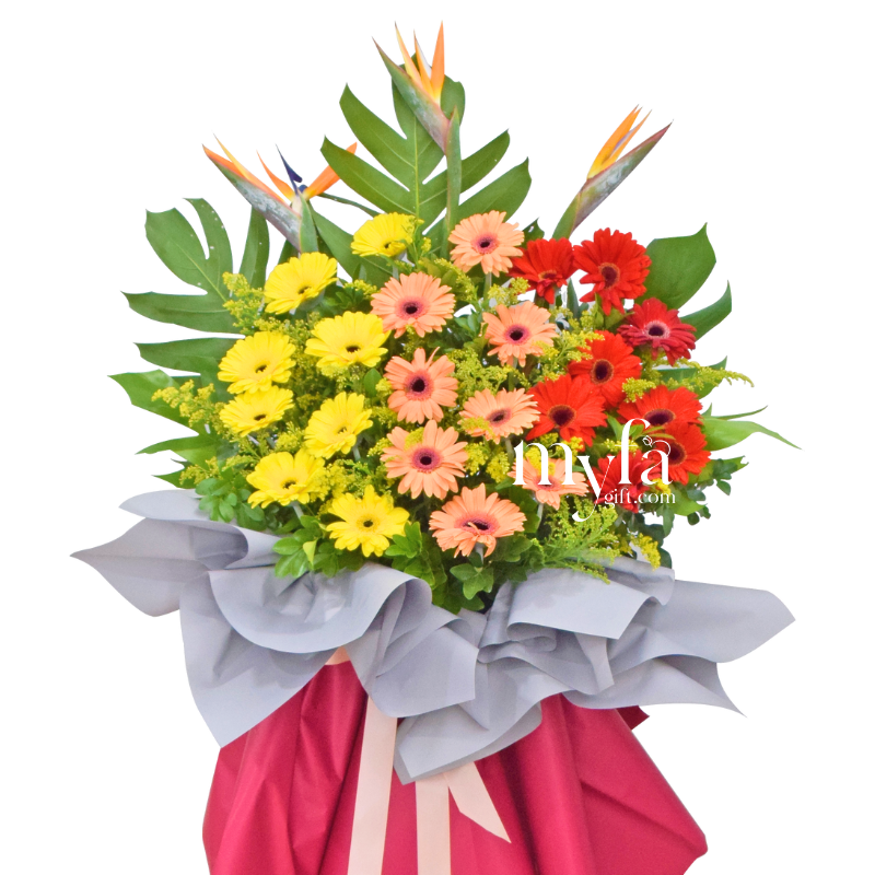 Joyful| Opening Fresh Flower Stand| Same Day Delivery – myfa gift.com